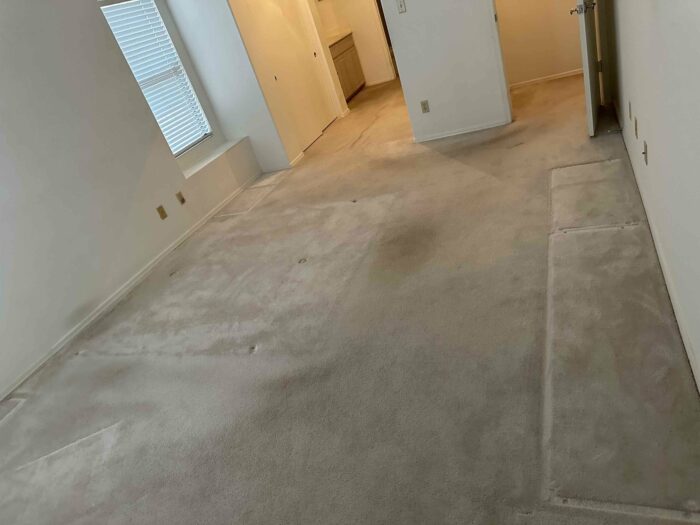 How to Remove Carpet Safely and Efficiently - DustRam®